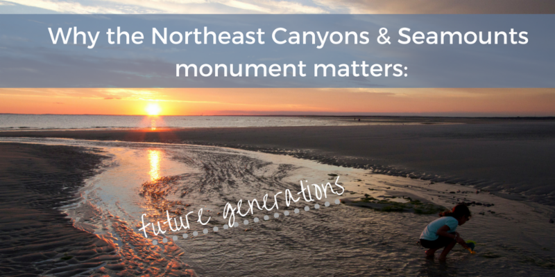 Progressive Charlestown: Save our ocean National Monument! Progressive Charlestown: Save our ocean National Monument!