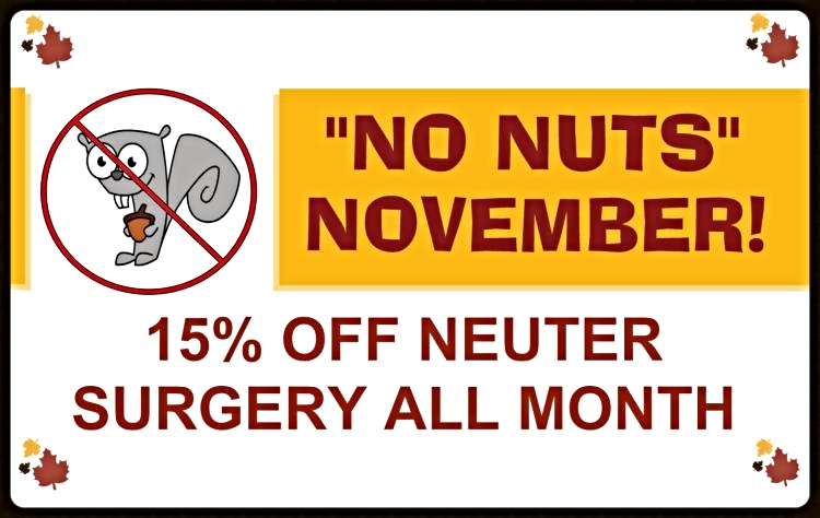 Eah November 2016 Newsletter No Nuts November