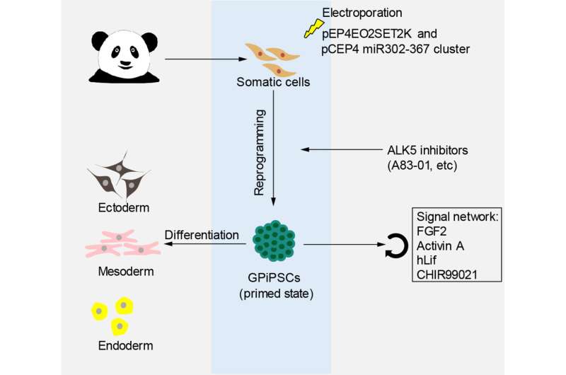 October e-newsletter 2024