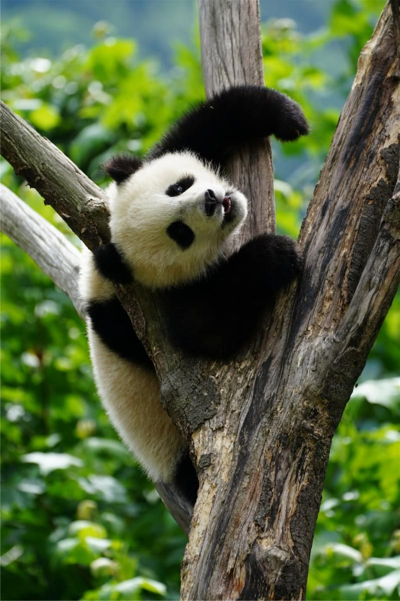 August e-newsletter 2022