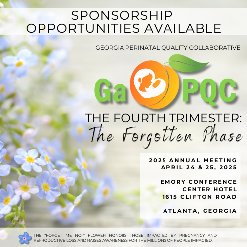 GaPQC 2025 Annual Meeting - Sponsorship Registration