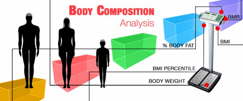How to Improve Your Body Composition