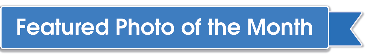 Inside Citywide Newsletter