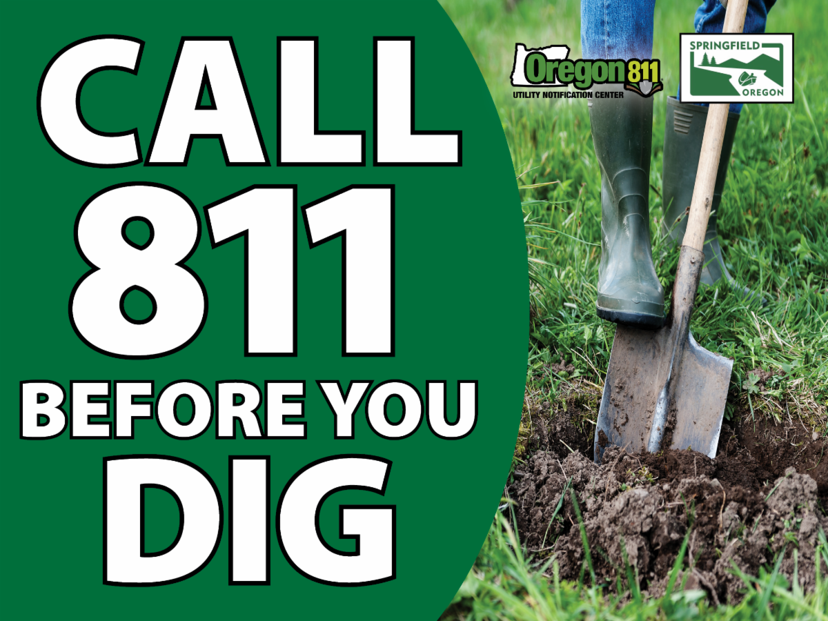 A Summer 2022 Update from Springfield Development & Public Works