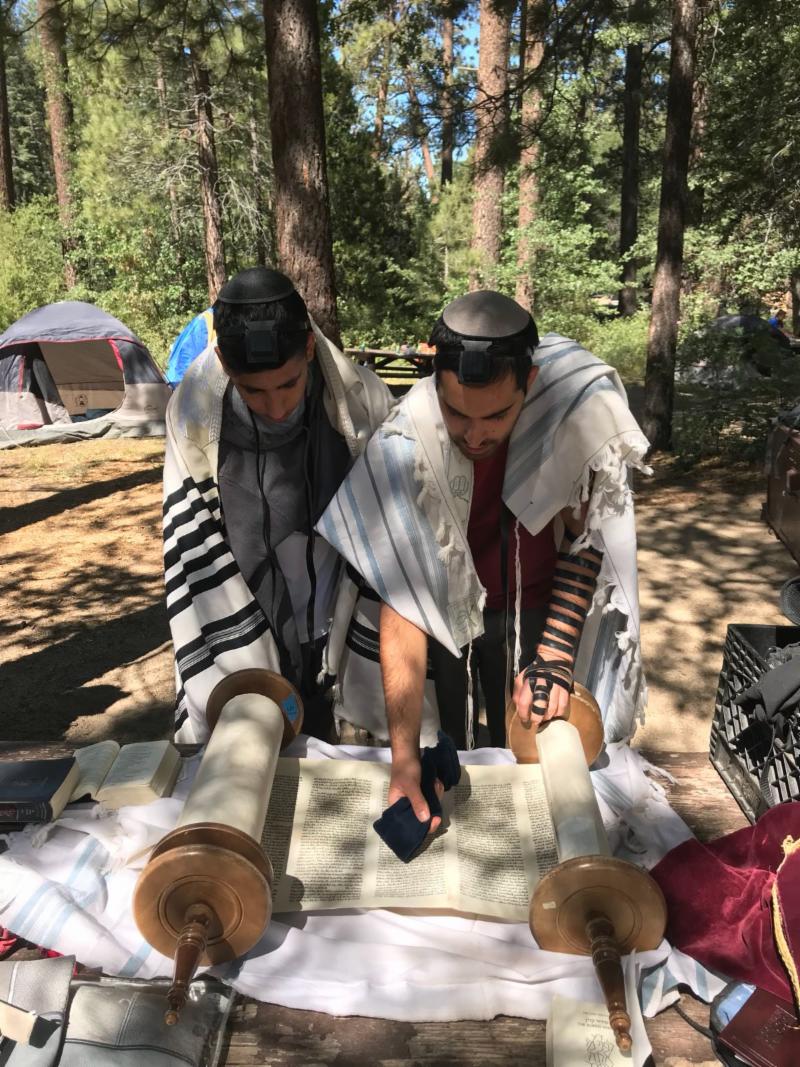 10 Skills and Qualities Your Child Can Learn at Moshava Alevy this ...