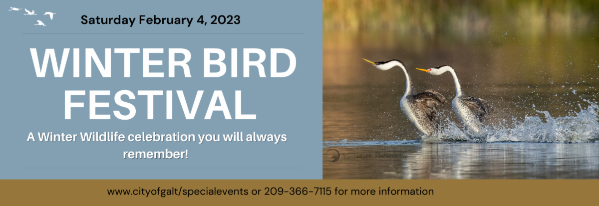 Connect with Galt: January 20, 2023