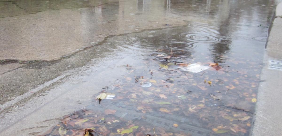 Connect with Galt - Sept. 29, 2023