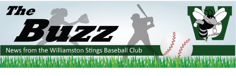 The BUZZ -- Williamston Stings Baseball Club news -- October 2017