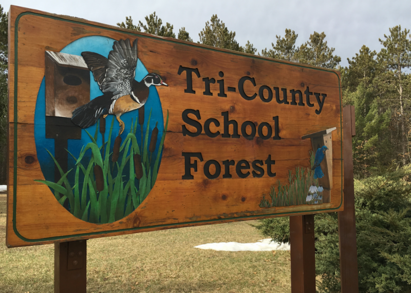 Tri-County Area School District Celebrates its School Forest's 50th ...
