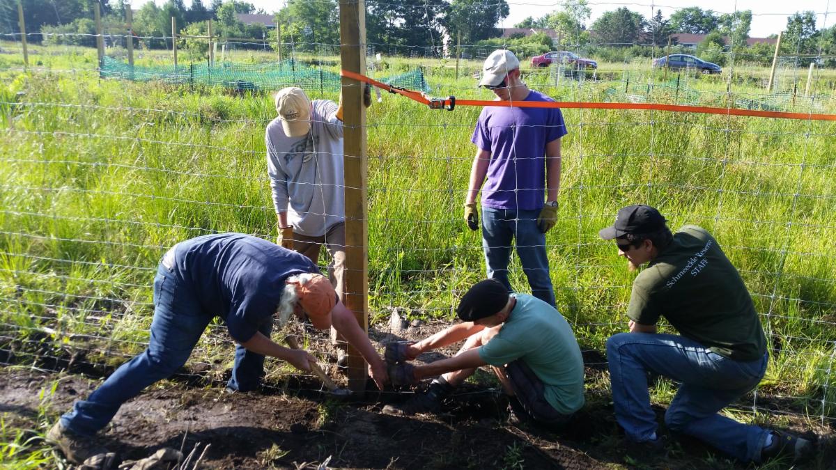 The LEAFlet: Deer Exclosure Study Sites