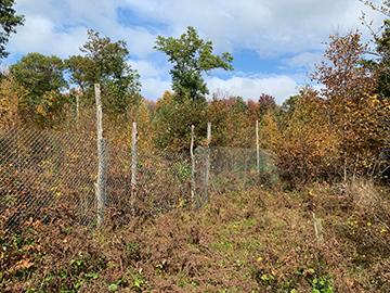 The LEAFlet: Deer Exclosure Study Sites