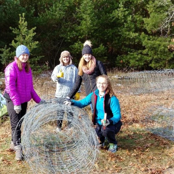 The LEAFlet: Deer Exclosure Study Sites