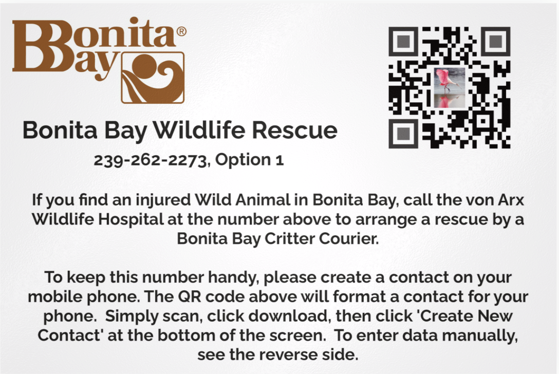 Report an Injured Bird, Reptile, or Mammal to the Bonita Bay Wildlife ...
