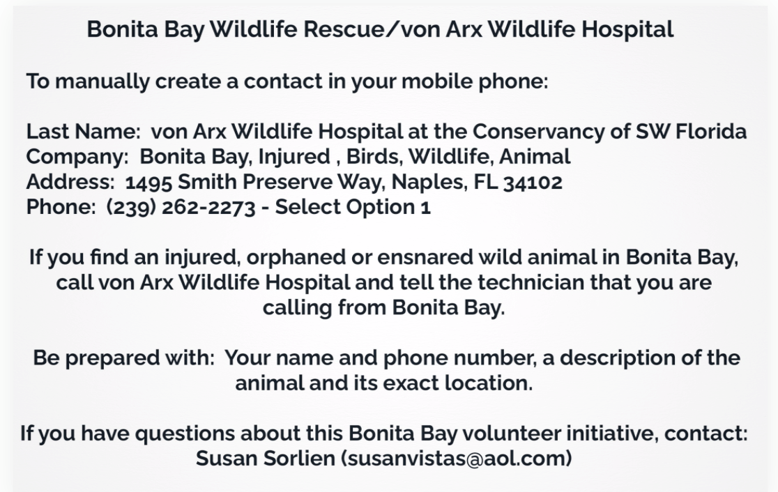 Report an Injured Bird, Reptile, or Mammal to the Bonita Bay Wildlife ...
