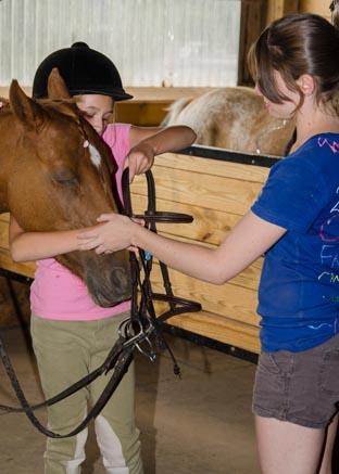 Stable Management Lessons