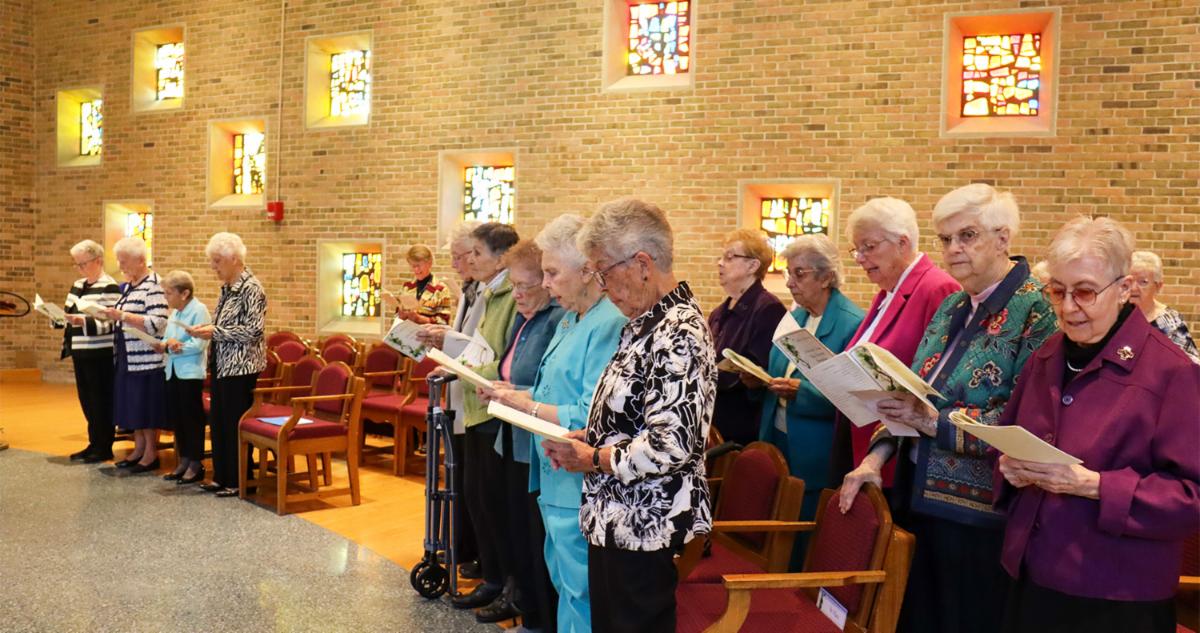 The MORE... Update: November 2024