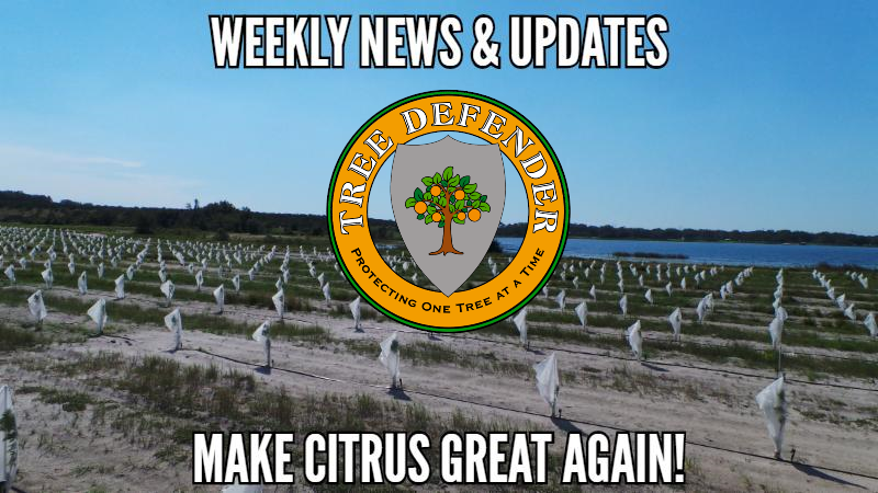 Best solution ever to protect your young trees!