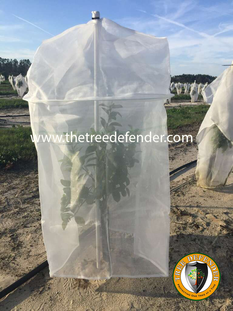 Happy New Year from Tree Defender! New product info & more!