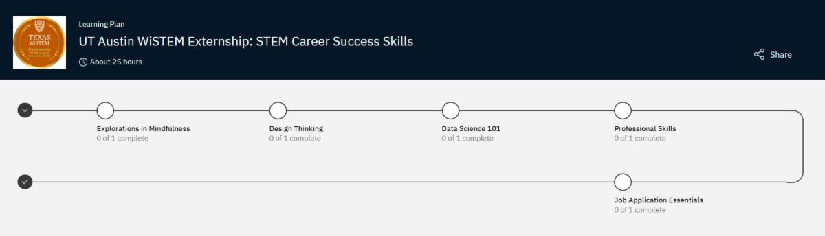 Welcome to the UT Austin WiSTEM Externship: STEM Career Success Skills