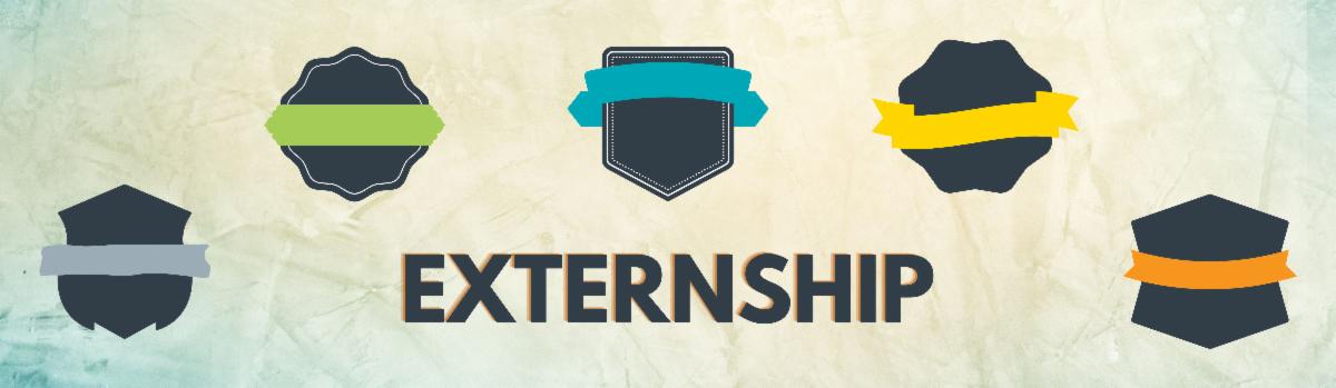 Welcome to the UT Austin WiSTEM Externship: STEM Career Success Skills