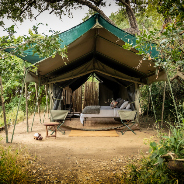 What's new at Chilo?