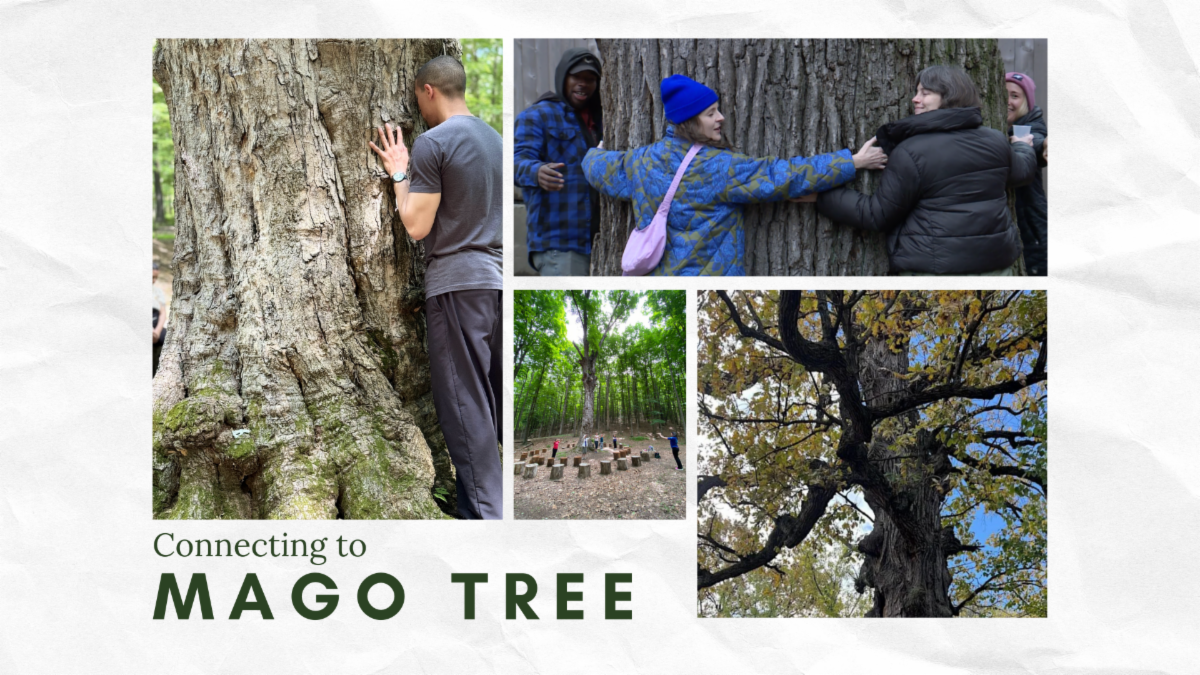 BPW Bulletin - Black History Month / Connecting to the Elements of Nature