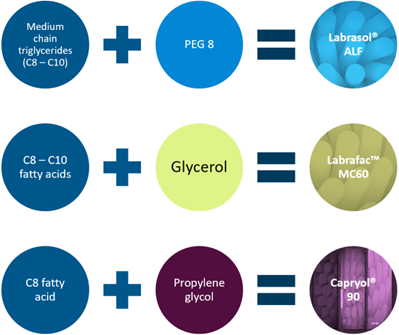 Permeation Enhancers to Increase Oral Bioavailability