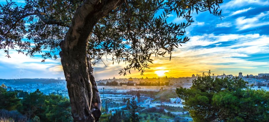 Thursday: come learn about our new siddurim