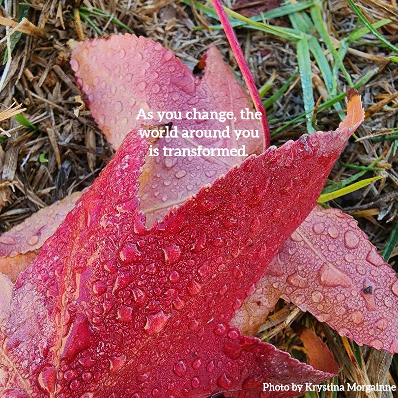 The Nature of Change – The Potential Within