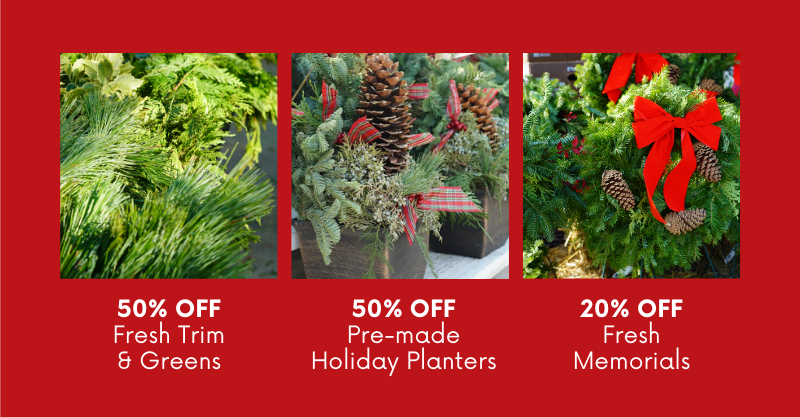 50% OFF Life-like Trees for Garden Club Members