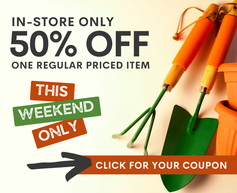 50% OFF Coupon Inside!