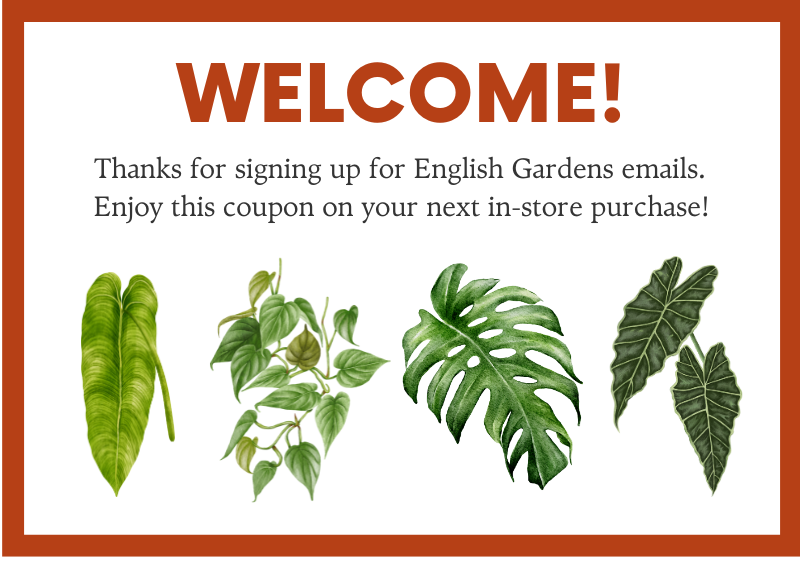Welcome! 30% OFF coupon for your next visit >