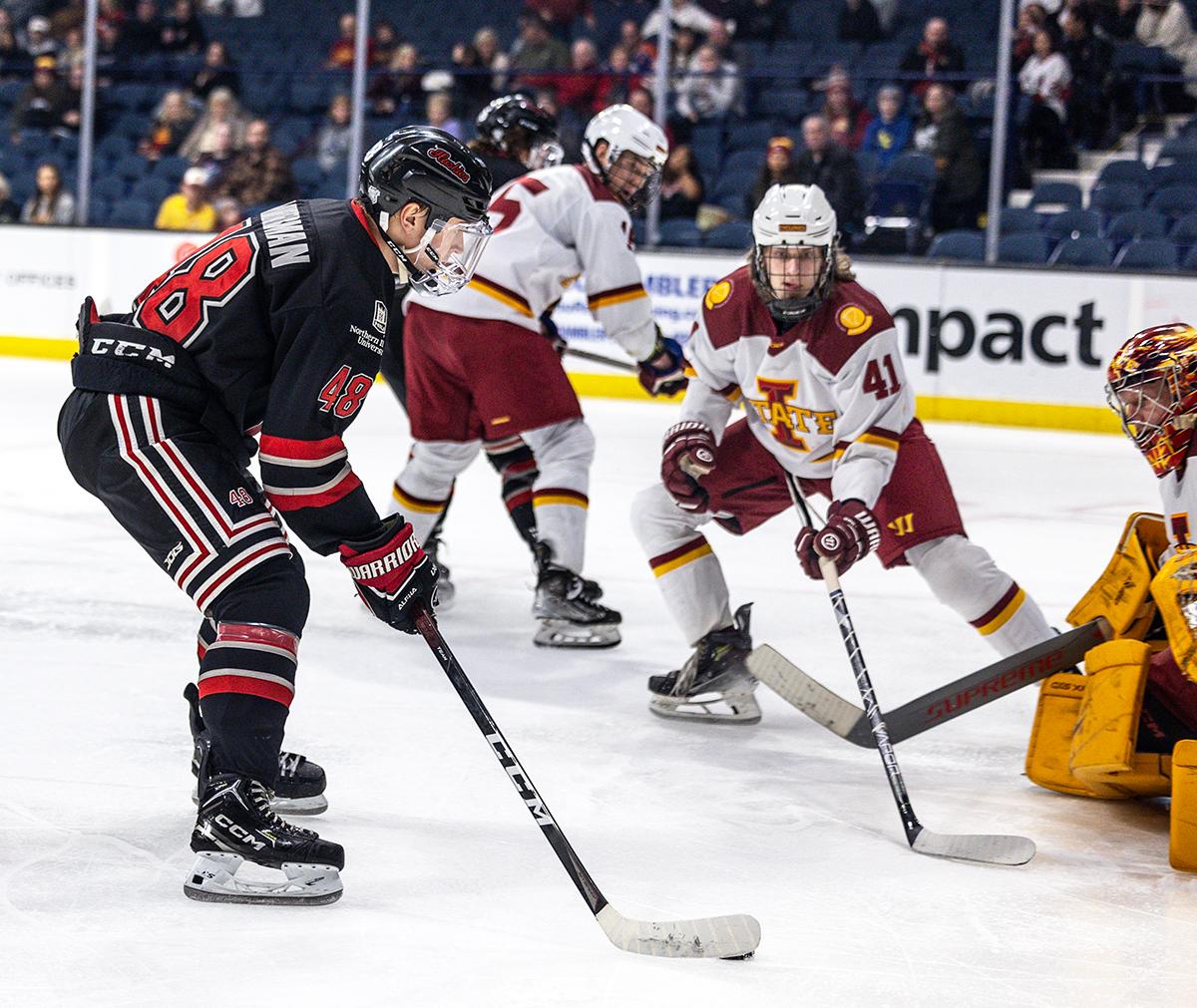 AHAI's November Newsletter