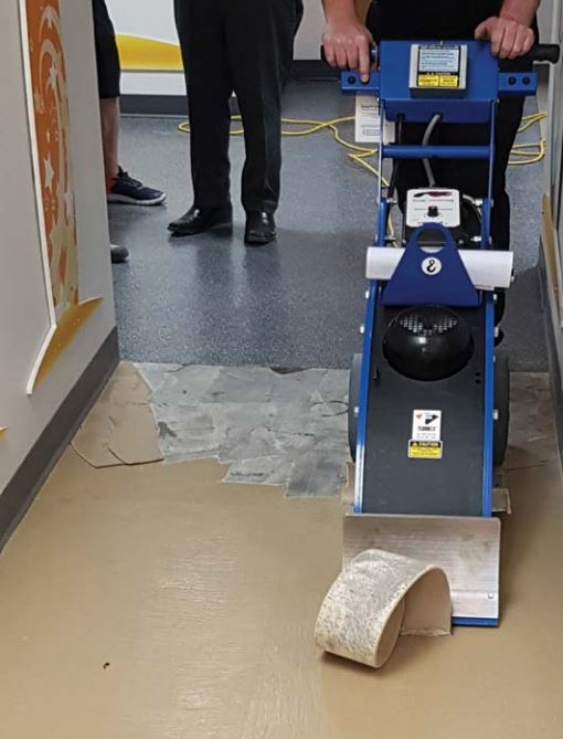 Beaver Floor Scraper Package Deal