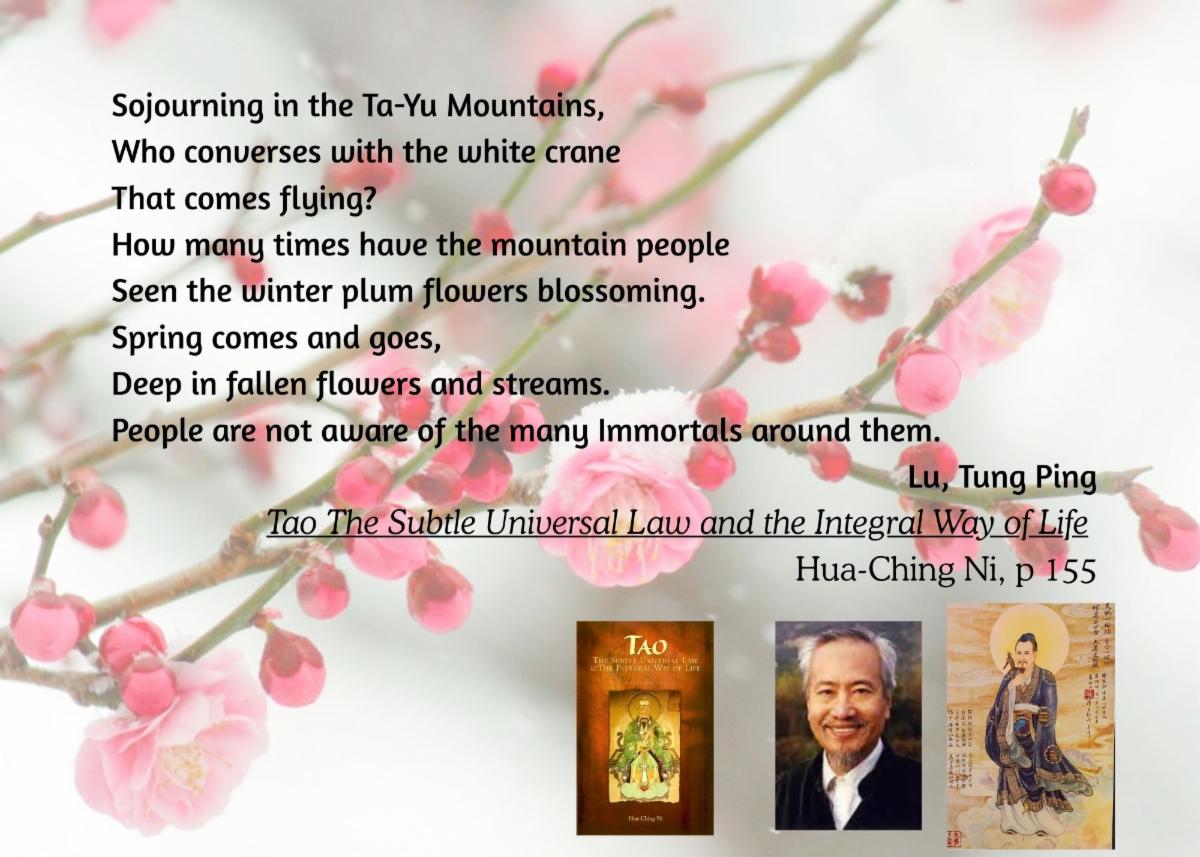 🥳 College of Tao Newsletter January 2026