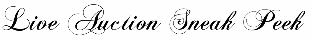 Tickets Are Going Fast! Valentine Ball & Auction Sneak Peek