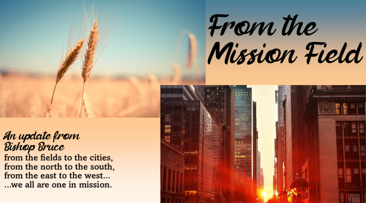 From the Mission Field