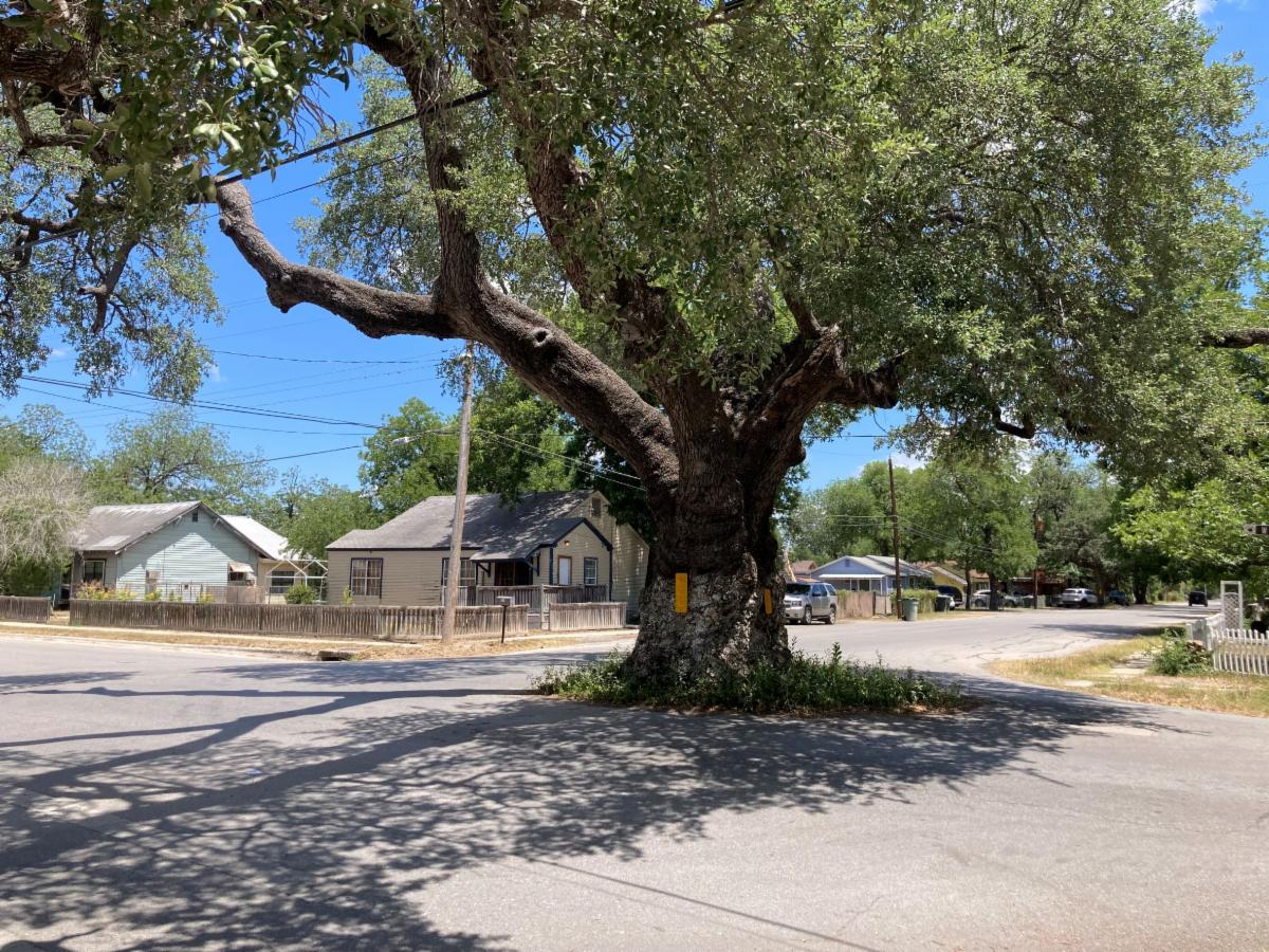 My letter about my recent trip to Uvalde