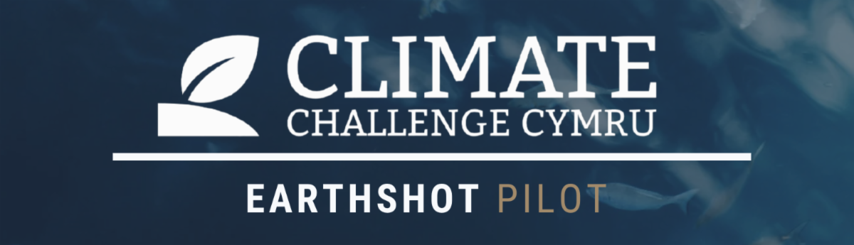 Sign up to the Mid & West Wales Climate Challenge Cymru Earthshot ...