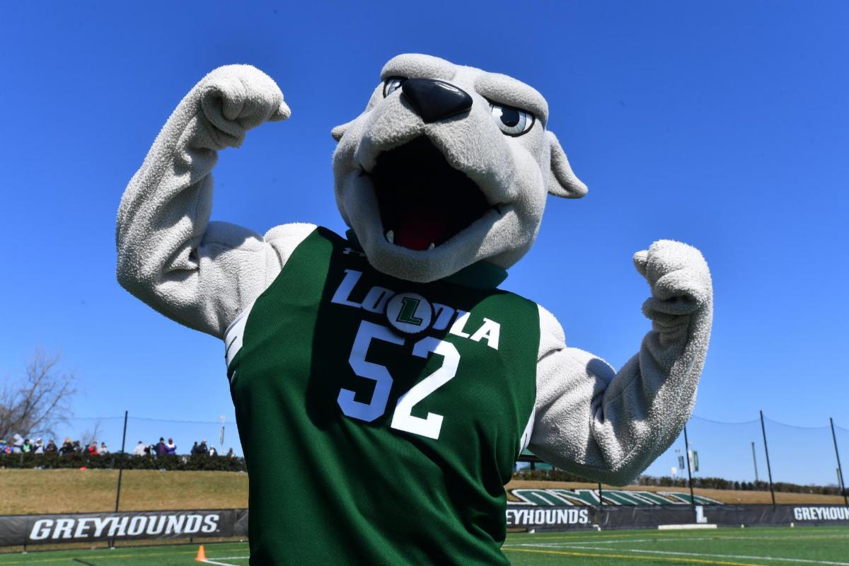 The Hounds are back! Show your support!