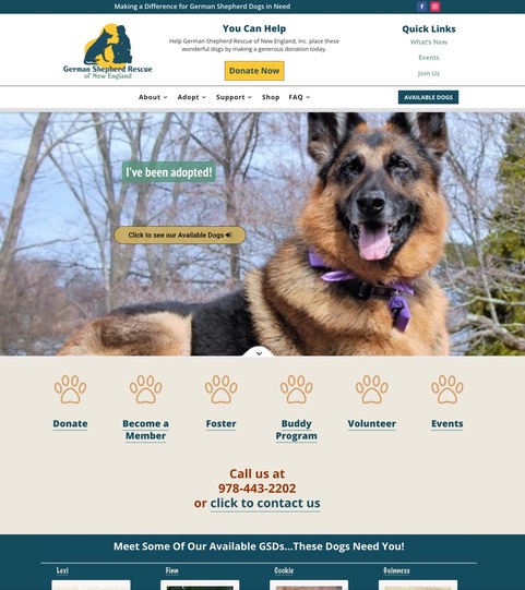 June 2022 German Shepherd Rescue of New England e-Newsletter