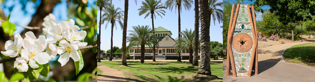 Cactus District Weekly Update