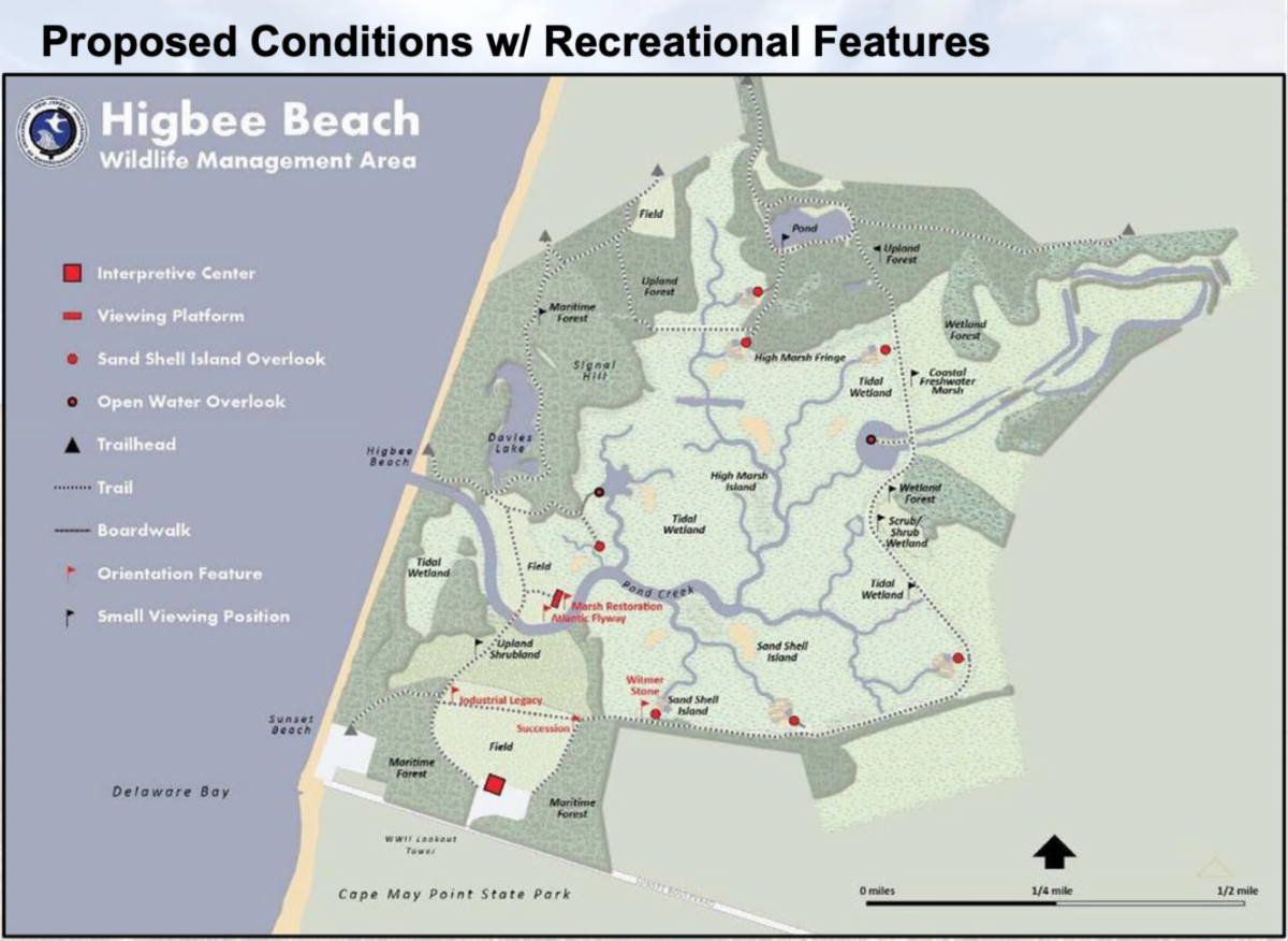 #10 Pond Creek Restoration, Higbee WMA, Cape May Point