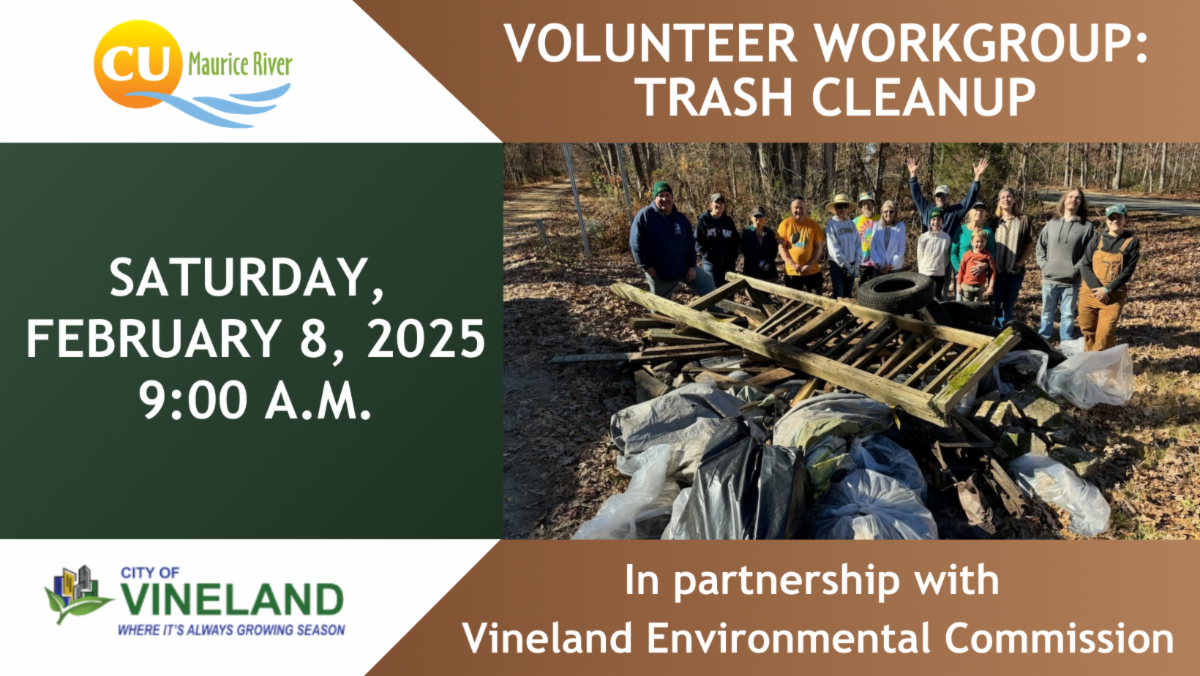 Volunteer Workgroup: Trash Cleanup