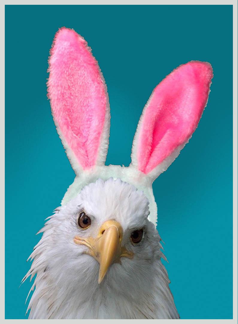 Easter Eagle