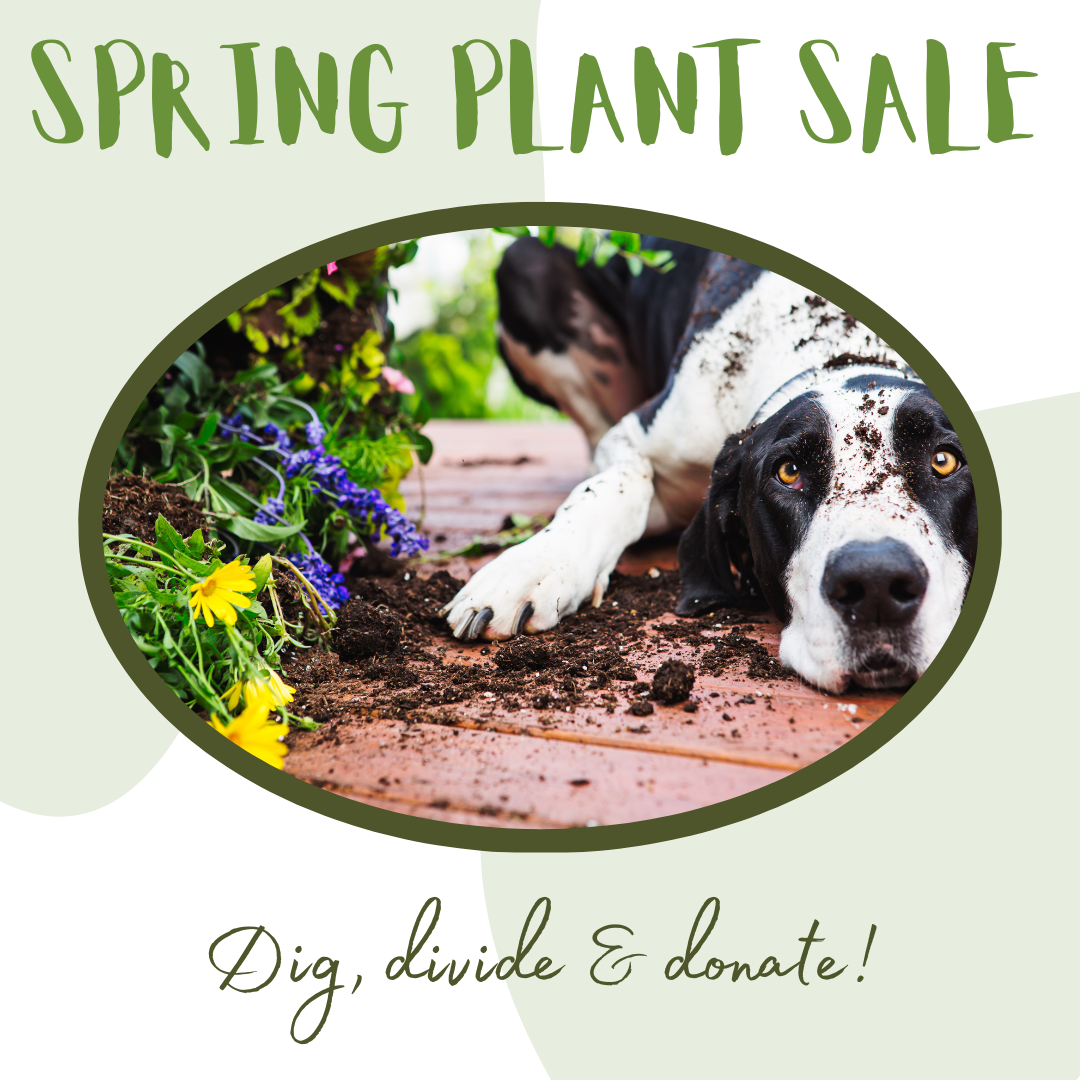 ARLGP Foster Newsletter: Spring 2025