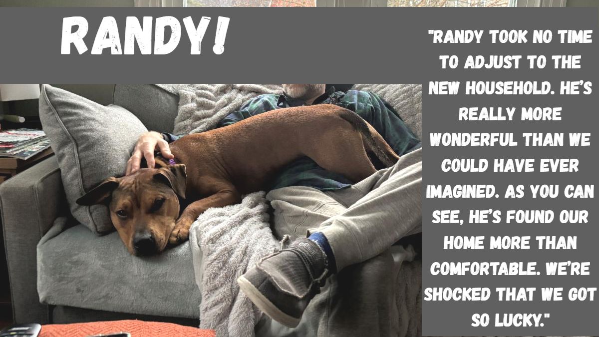 ARLGP Shelter Helper Newsletter: Winter 2024