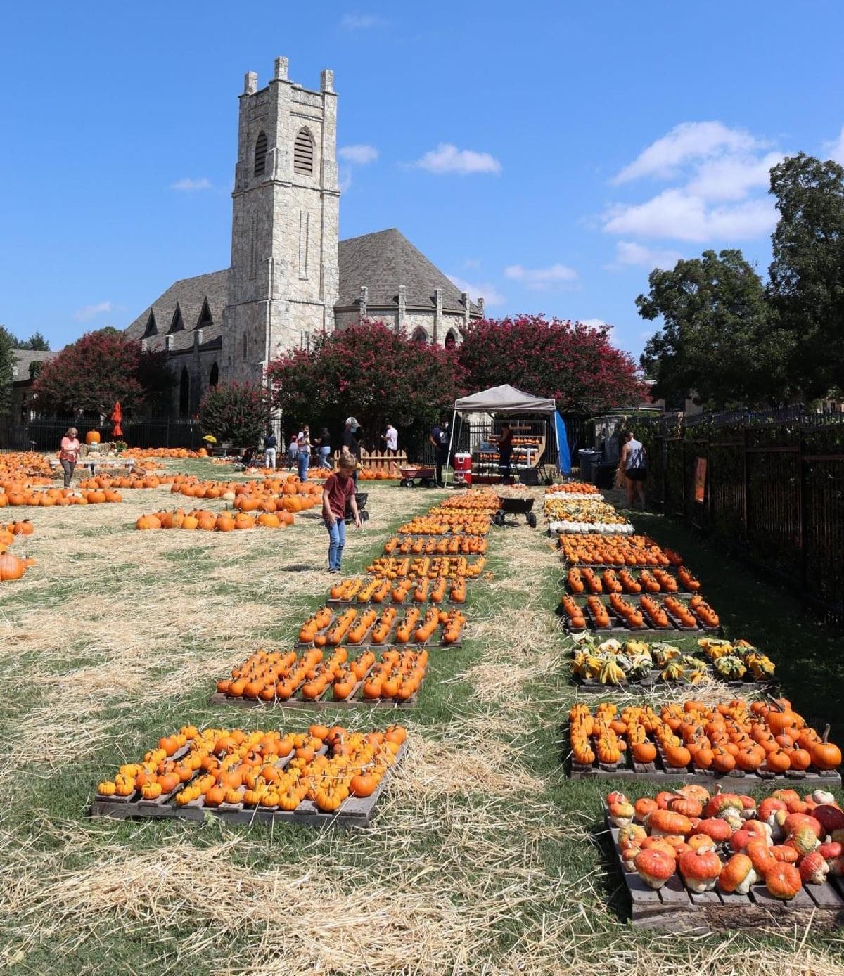 This week's James Journal is here