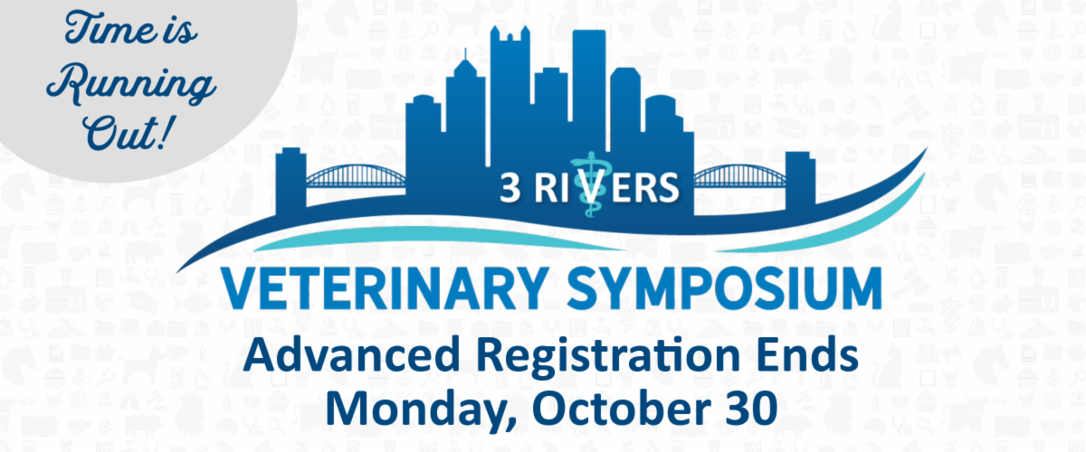 Vet Bytes - PVMA's weekly e-news