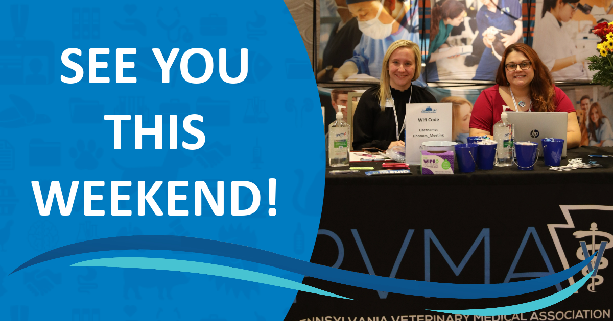 Vet Bytes - PVMA's weekly e-news